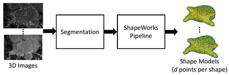 Data Augmentation For Deep Learning ShapeWorks