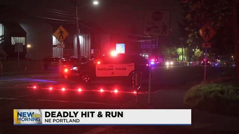 News Update Police Search For Driver Involved In Deadly Hit And Run In