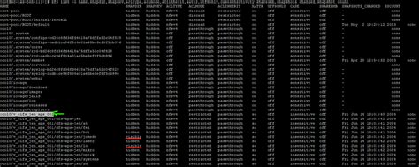 No Previous Versions Since Zfs Was Accessedvisible Truenas General Truenas Community