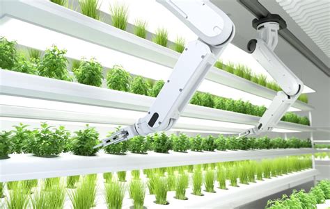 How Robotic Automation Is Revolutionizing Material Handling In Food