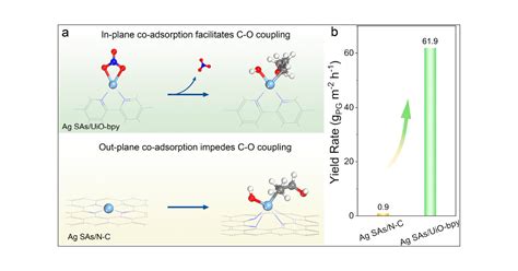 Bipyridine Confined Silver Single Atom Catalysts Facilitate In Plane C