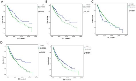 Survival Analysis Of Significantly Differentially Expressed Bcaas