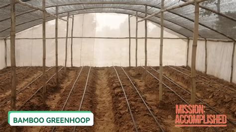 Adamu Bashir Ahmad Posted On Linkedin