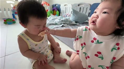 쌍둥이 니껀내꺼 Youtube