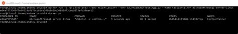 Refreshing SQL Container Automatically With Watchtower