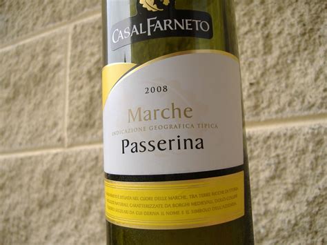 Try the Famous Le Marche Wine - ITALY 4 travellers