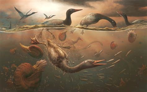Vegavis Paleo Media Wiki Fandom