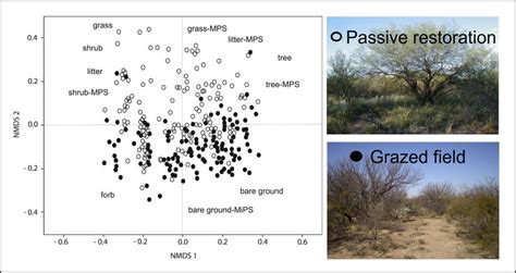 Nonmetric Multidimensional Scaling Ordination Showing Differences In