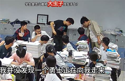 学生是怎么敢把大虫子捏在手上？ 九零老师 九零老师 哔哩哔哩视频