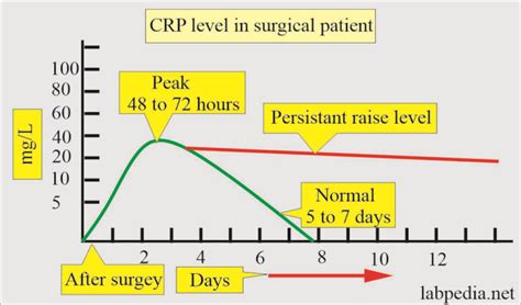 C Reactive Protein Crp High Sensitivity C Reactive Protein Hs Crp