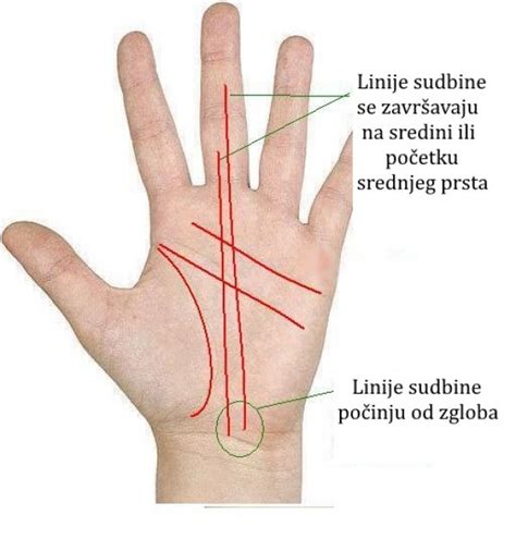 Nemaju Je Svi Na Dlanu Ali Nekima Je Linija Sudbine Vrlo Duga Provjerite Svoju Evo Gdje Se