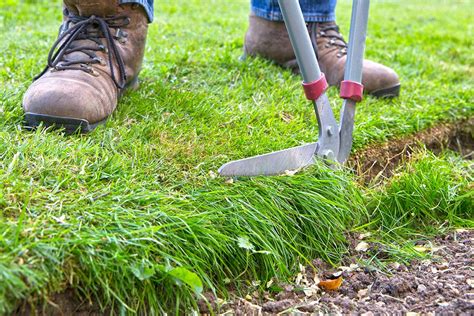 Tuin Winterklaar Maken Vergeet Deze 12 Belangrijke Klusjes Niet