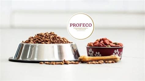 Ganador o Beneful qué croquetas son mejores Petlife
