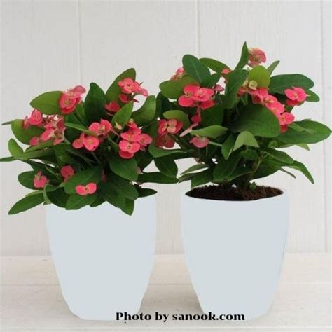 10 ไอเดียเลือกของขวัญมอบให้ผู้ใหญ่ สร้างความประทับใจได้ในทุกๆวาระโอกาส