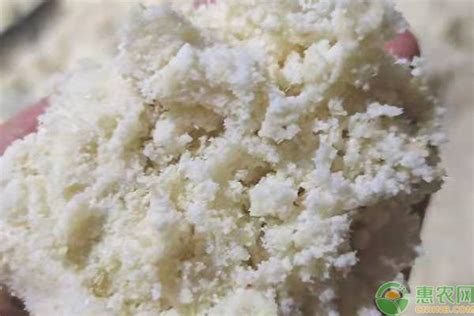 糟渣类饲料有哪些 惠农网