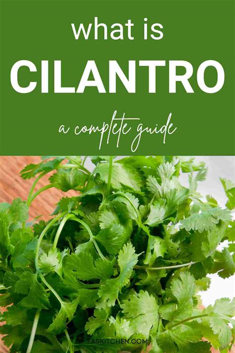 Cilantro 101 Nutrition Benefits How To Use Buy Store Fresh