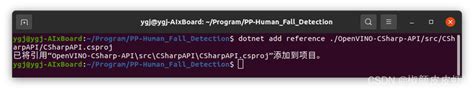 【openvino】行人摔倒检测 — 基于 openvino c api 部署pp human 下篇 csdn博客