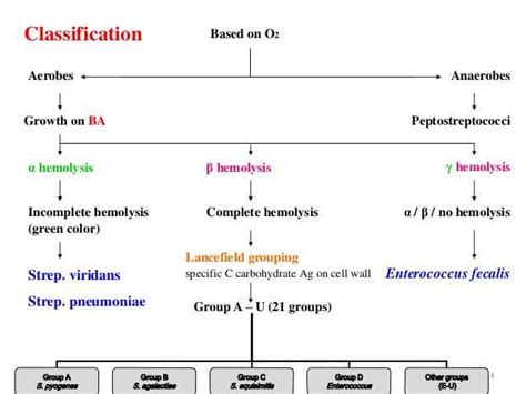 Classification Of Streptococci Streptococci Are Classified Into The