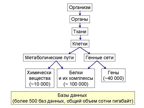 Bio Uml Modeler Matlab Constants Declaration Global K1