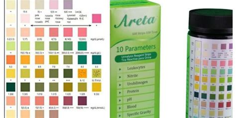 How To Read A Urine Test Strip A Step By Step Guide