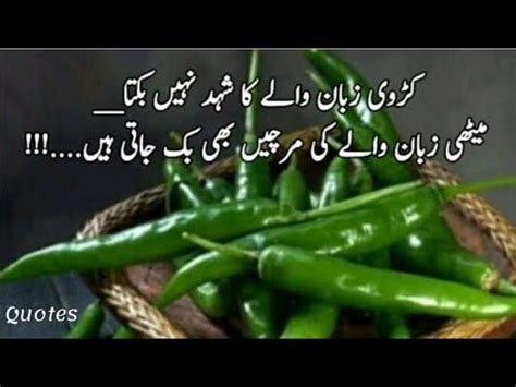 Urdu Quotes Bano Qudsia Ashfaq Ahmed Udru Quotes Motivational Deep