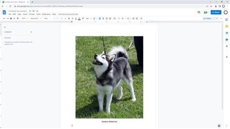 How To Put Tables Side By Side In Google Docs Vegadocs