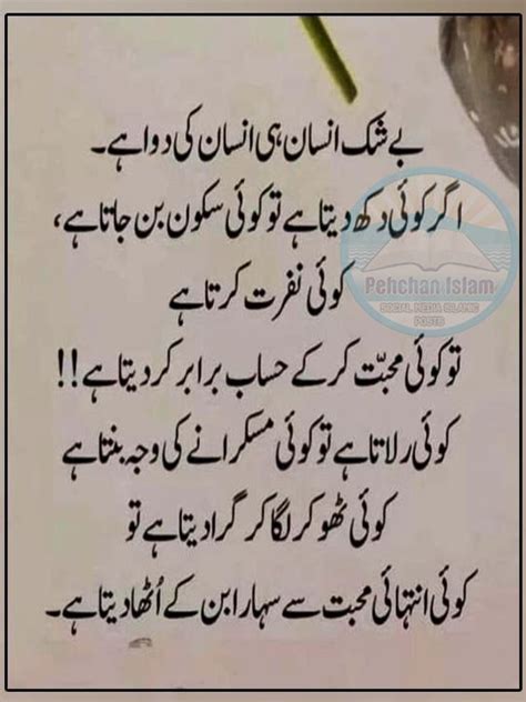 Pin Di Saleha Rizvi Su Urdu