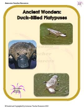 Ancient Wonders Duckbilled Platypuses Comprehension And Essay GR6