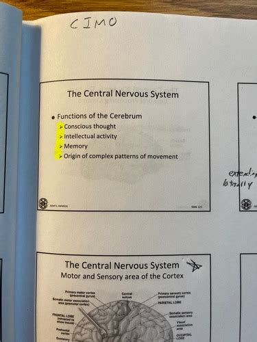 Key Slides Flashcards Quizlet