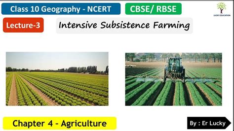 Intensive Subsistence Farming Chapter 4 Agriculture Class 10 Geography