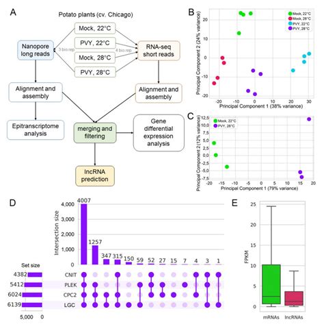 Overview Of Sequencing Data A Schematic Representation Of The Download Scientific Diagram