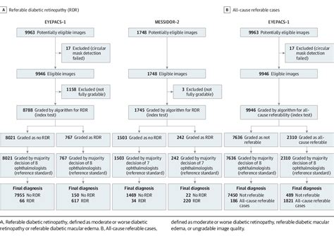 PDF Development And Validation Of A Deep Learning Algorithm For Detection Of Diabetic