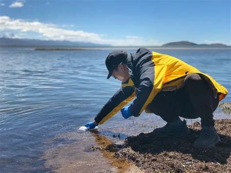 Environ Res 姚蒙课题组利用环境dna方法揭示青藏高原冰川流域多类群生物多样性分布模式及群落构建机制