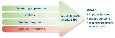 Managing Acute Pain Clinical Module Opiods Alosa Health