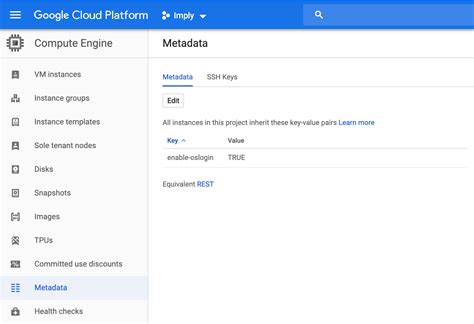 Tutorial Using Apache Druid And Imply With Google Cloud Dataproc For Hadoop Indexing Imply