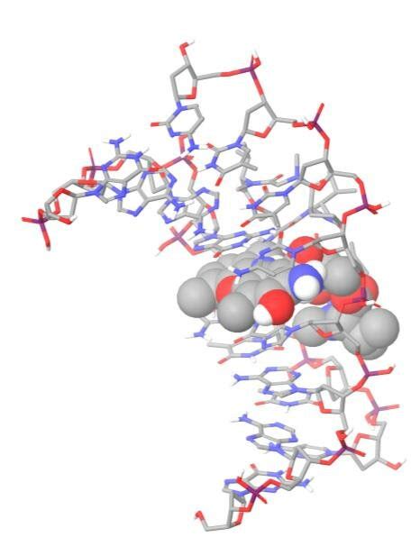 Left Intercalating Binding Mode Right Minor Groove Binding Mode