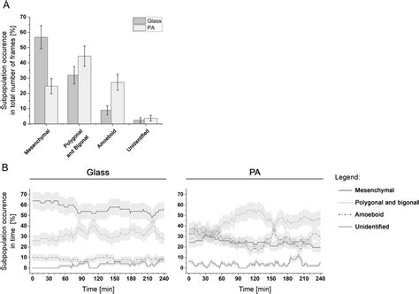 A The Occurrence Of Different Subpopulations In Wc256 Adherent