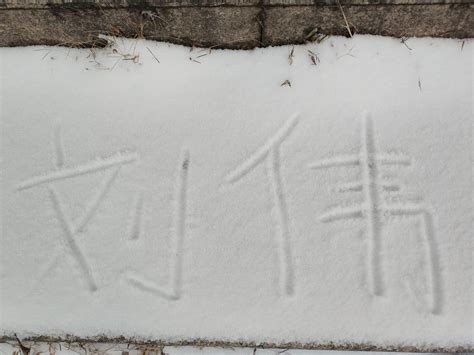 武汉下雪了看看雪中的华农 2 Sphard