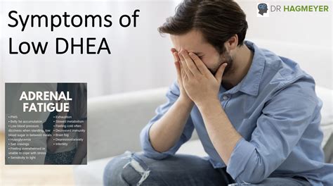 Low Dhea Causes Insomnia At Cathleen Kiser Blog