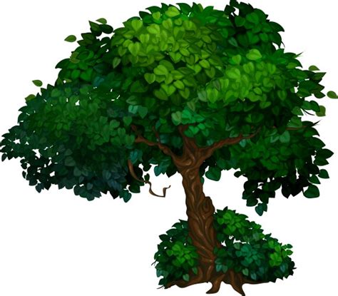 Realistic Tree With Leaves Royalty Free Vector Image