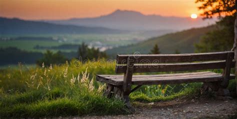 Wooden Bench On Lush Green Hillside Stock Illustration Illustration Of Comfort Seating 342427530