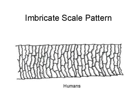 Trace Evidence Hair Fiber Soil And Glass Analysis