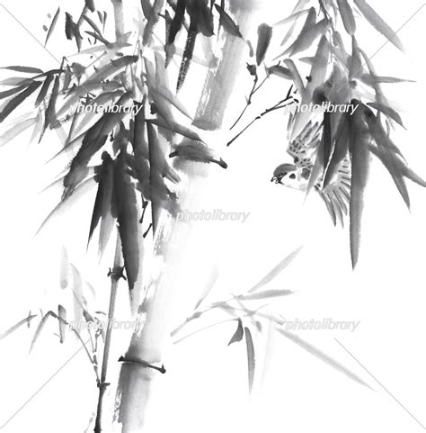 Photolibrary