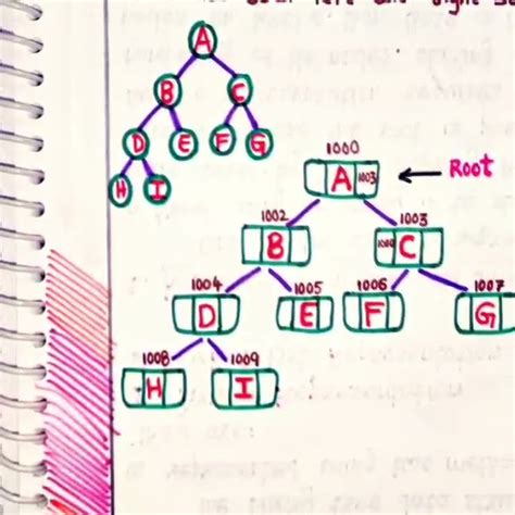 Representation Of Binary Tree In Data Structures Part 2 Laharivlogs