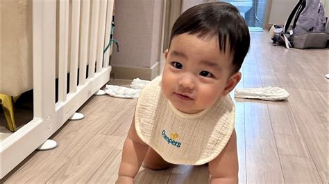 팸퍼스 터치 오브 네이처🩵 광고 Youtube