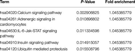 David Pathway Enrichment Analysis Download Scientific Diagram