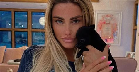 Katie Price Reported To Rspca And Accused Of Neglect As Home Covered