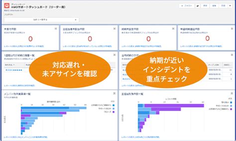 Sapアプリケーション 運用・保守（amo）｜scsk株式会社