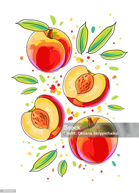 복숭아 잎 방울이 있는 밝은 포스터 과일의 전체와 절반은 흰색 배경에 고립되어 있습니다 화려한 복숭아 카드 벽 배너 포장 표지 등을 위한 아트 프린트 벡터 반면에 대한 스톡