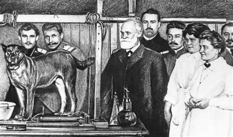 Unraveling The Legacy Of Ivan Pavlov The Father Of Classical Worksheets Library
